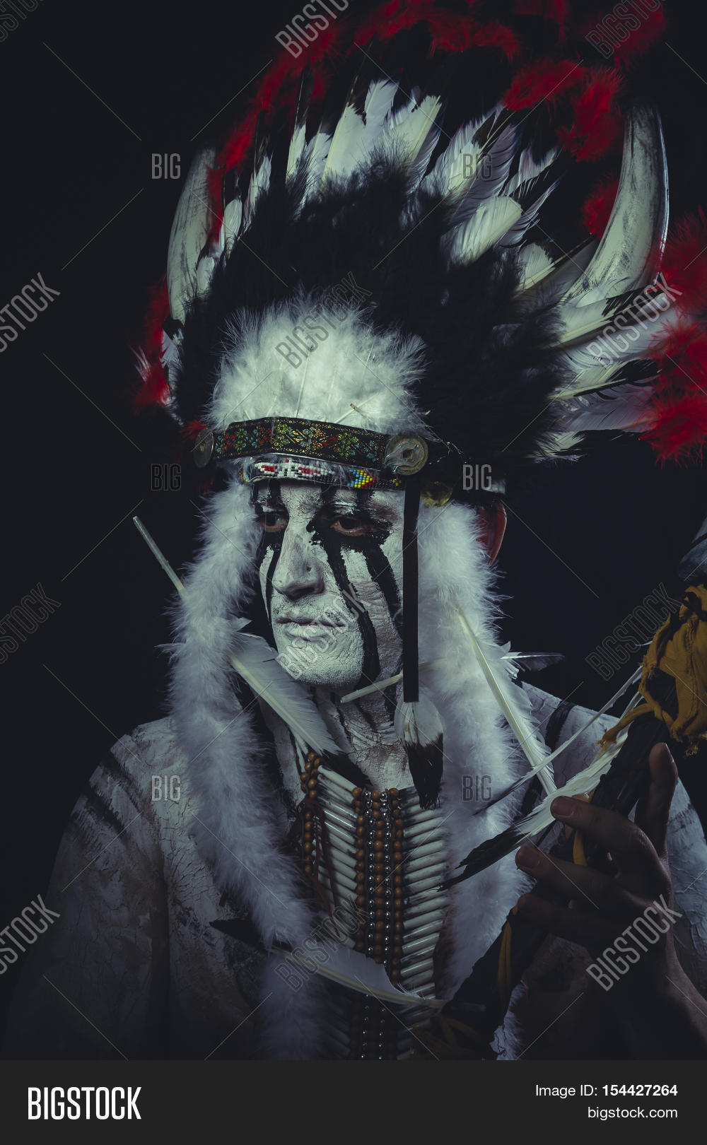 American Indian Chief Image & Photo (Free Trial) | Bigstock