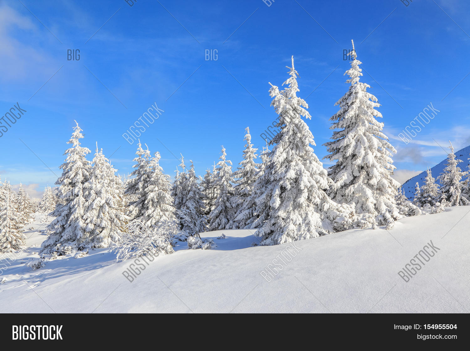Clear Sunny Sky Image & Photo (Free Trial) | Bigstock