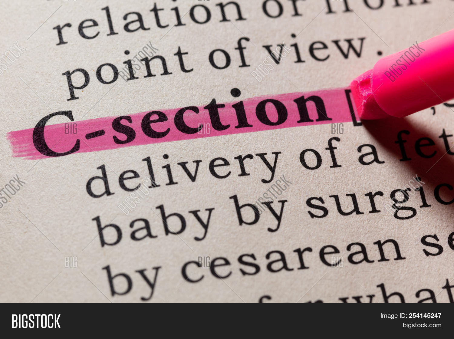Fake Dictionary, Image & Photo (Free Trial) | Bigstock