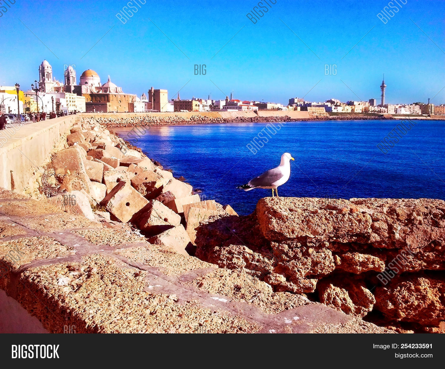 Coast Bay Cádiz, Image & Photo (Free Trial) | Bigstock