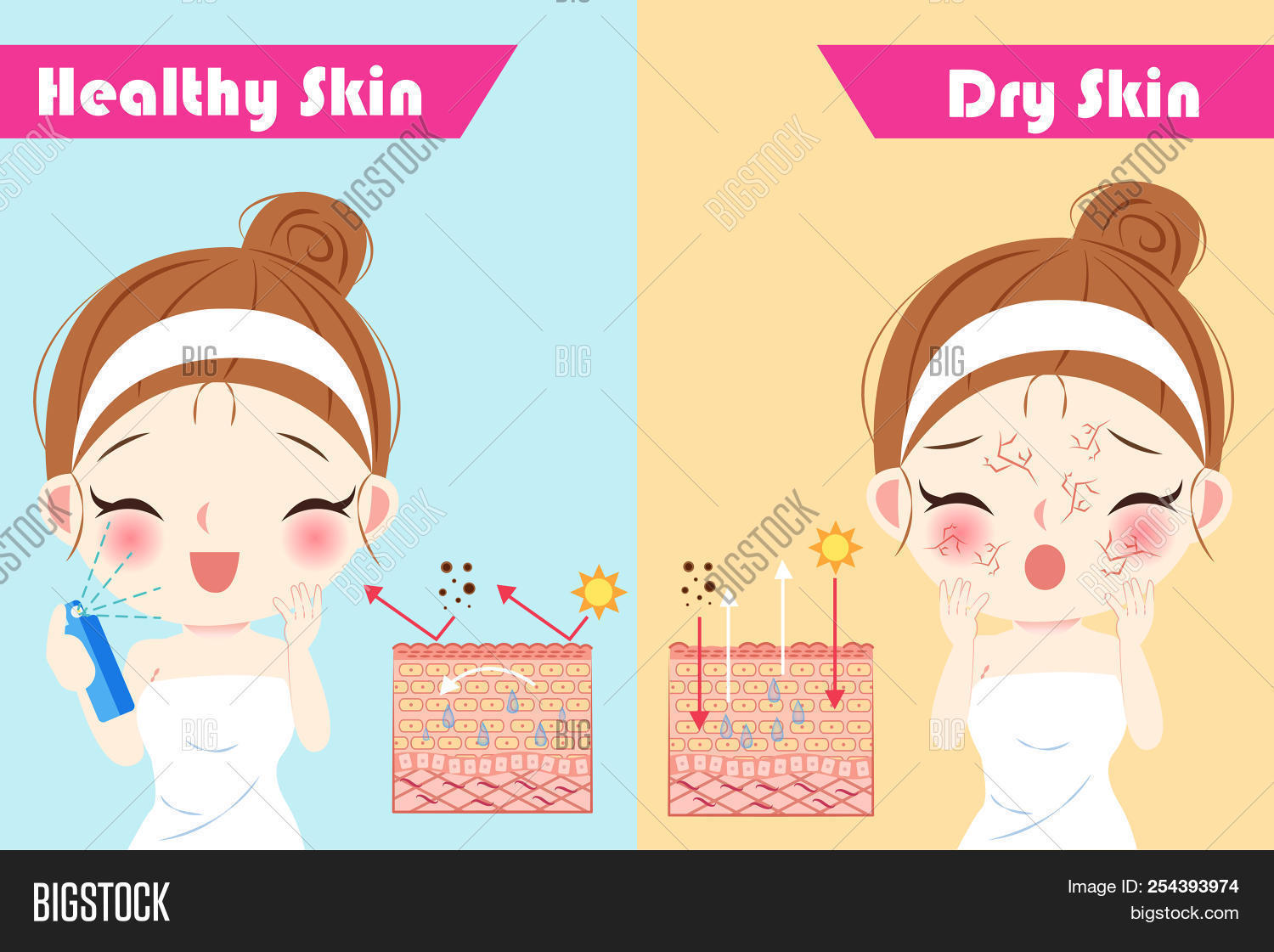 Cartoon Beauty Woman Vector & Photo (Free Trial) | Bigstock