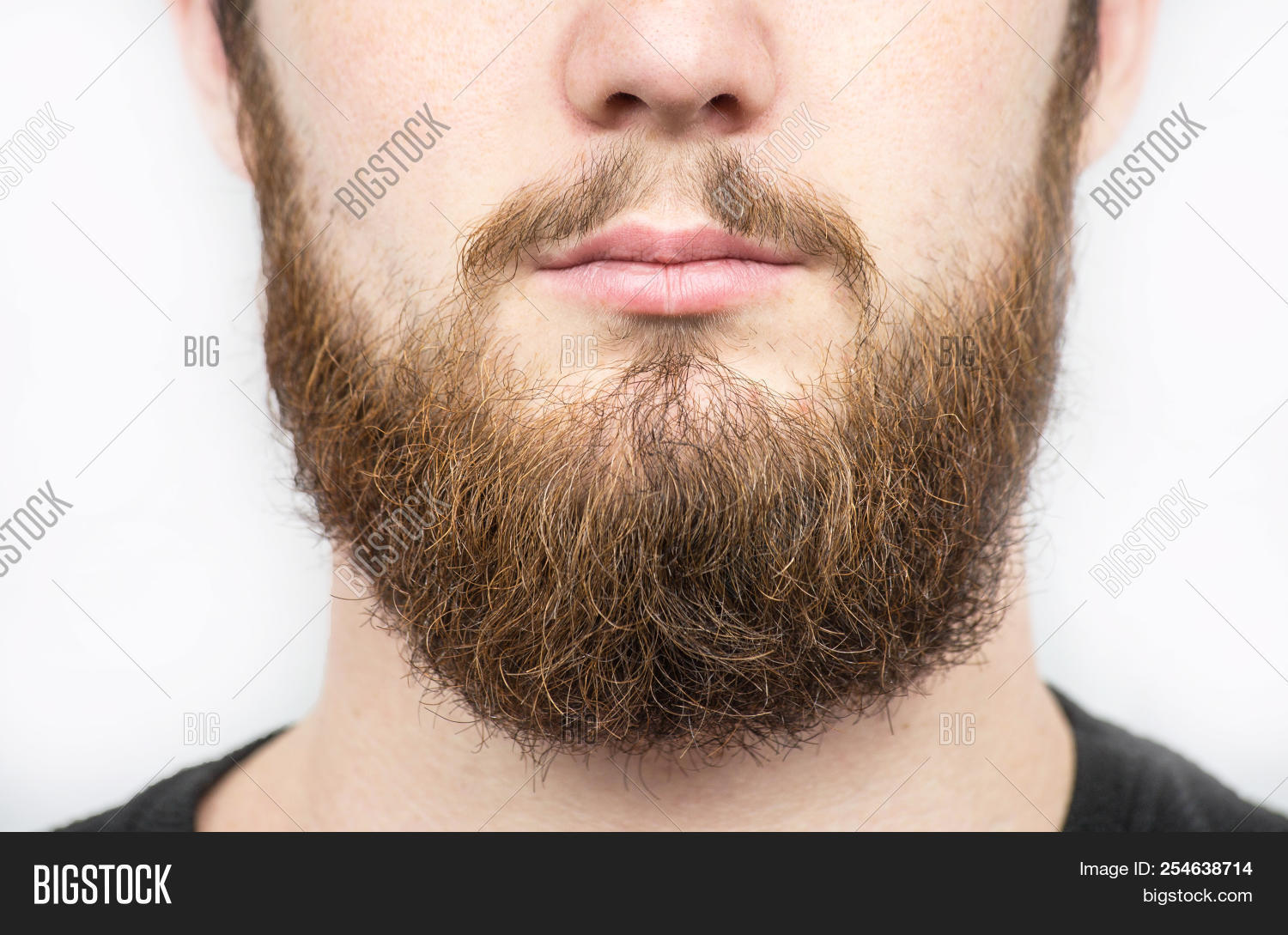 Solid Man Beard Image & Photo (Free Trial) | Bigstock