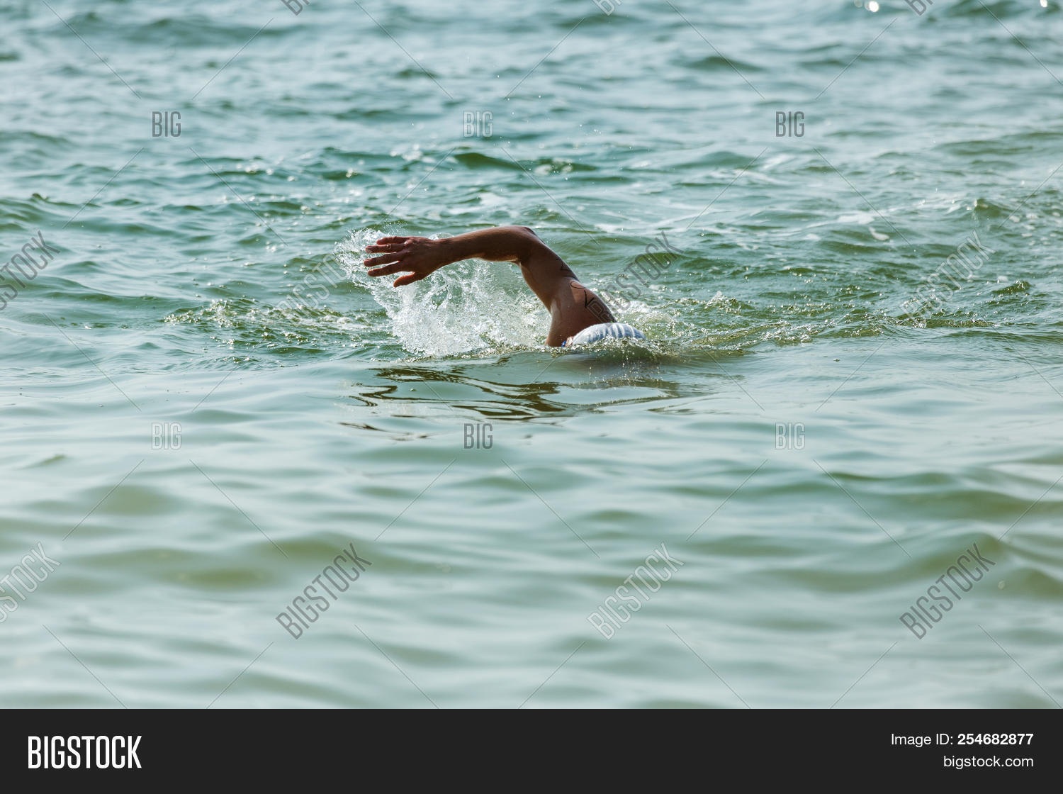 Swimmer Swims Sea. Image & Photo (Free Trial) | Bigstock