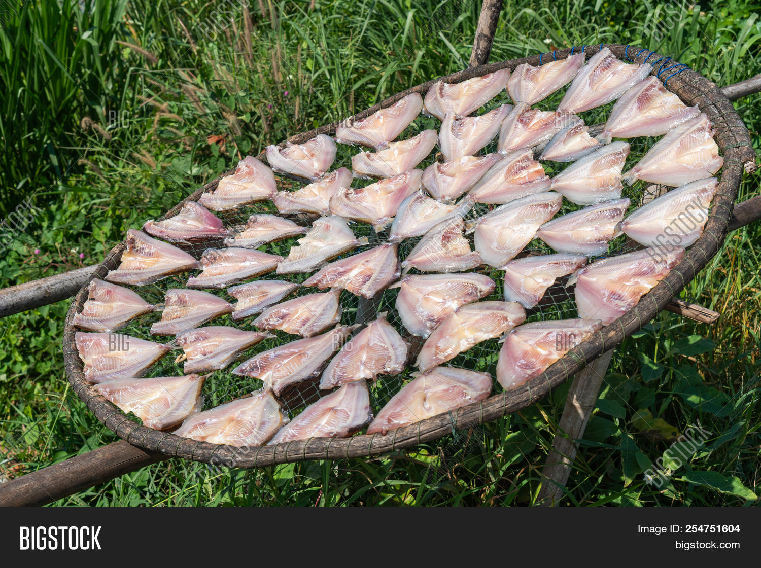 Dried Fish Basket Image & Photo (Free Trial) | Bigstock