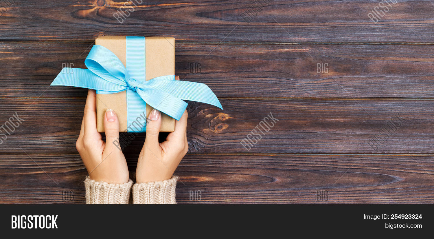 Woman Hands Give Image & Photo (Free Trial) | Bigstock
