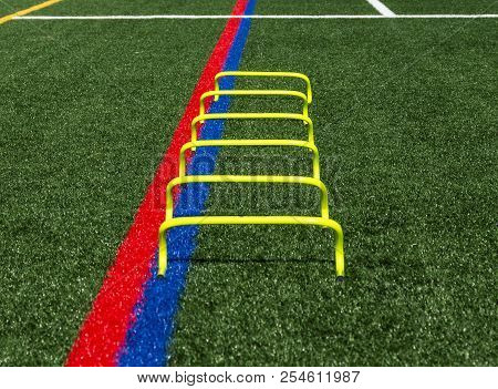 Six Inch Yellow Mini Image & Photo (Free Trial) | Bigstock