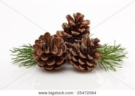 Pine Cones Needles Image & Photo (Free Trial) | Bigstock