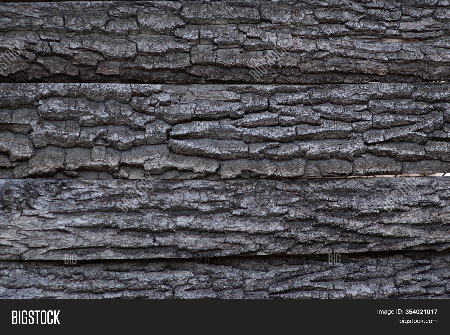 Bark Tree Texture. Image & Photo (Free Trial) | Bigstock