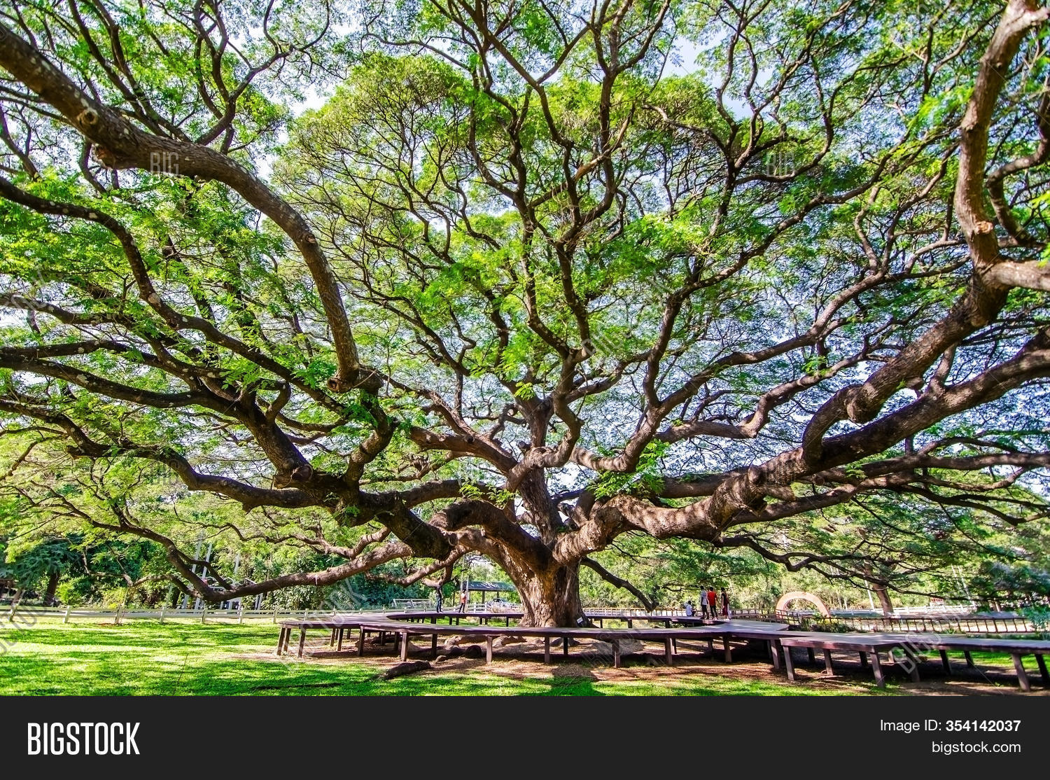 Scenery Giant Rain Image & Photo (Free Trial) | Bigstock