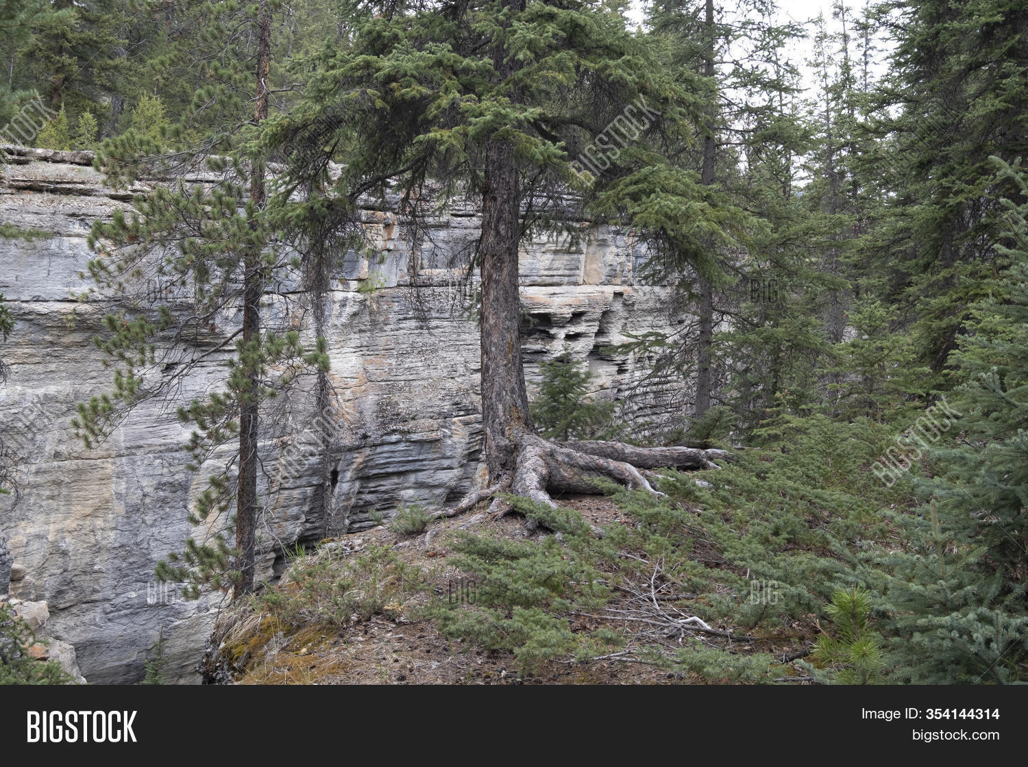 Maligne River Flows Image & Photo (Free Trial) | Bigstock