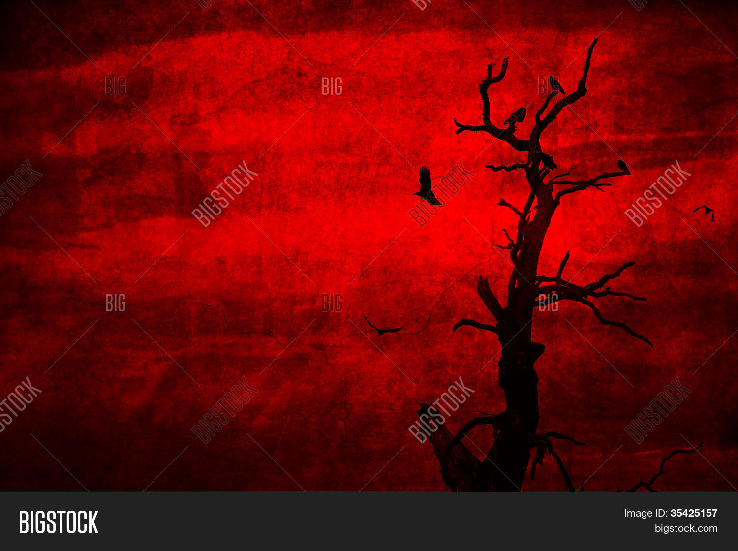 Red Crow Wallpaper