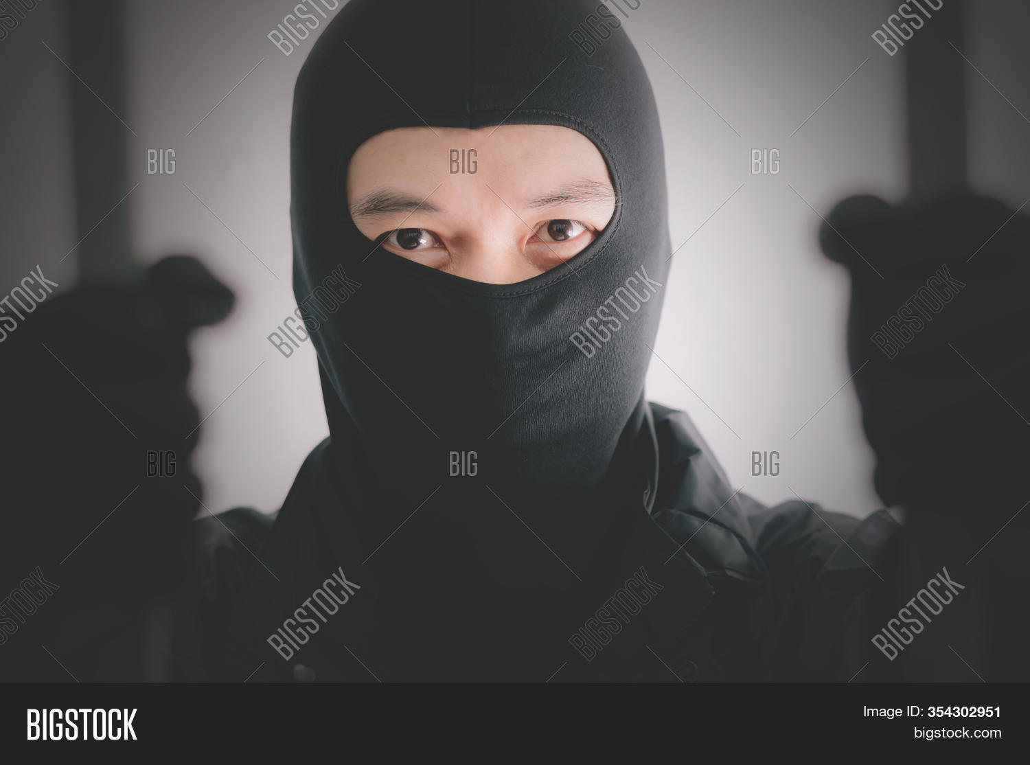 Bandit Wearing Mask Image & Photo (Free Trial) | Bigstock
