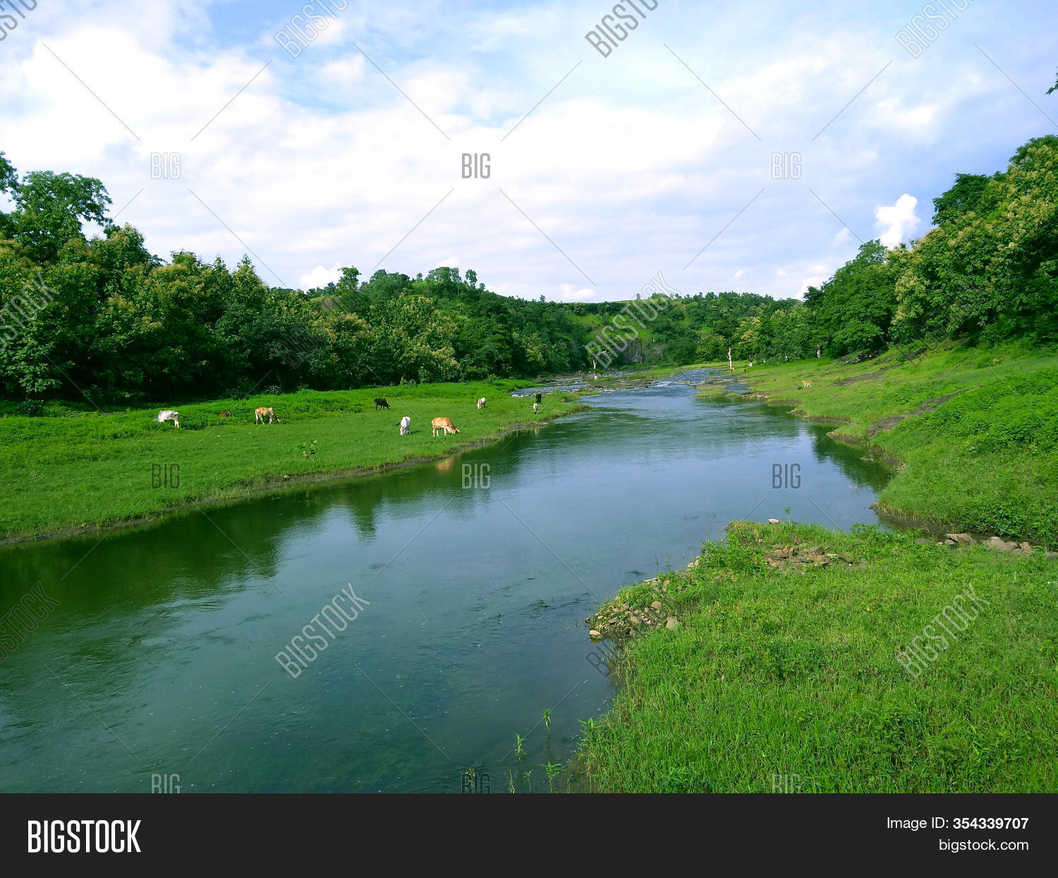 Riverside Grassland Image & Photo (Free Trial) | Bigstock