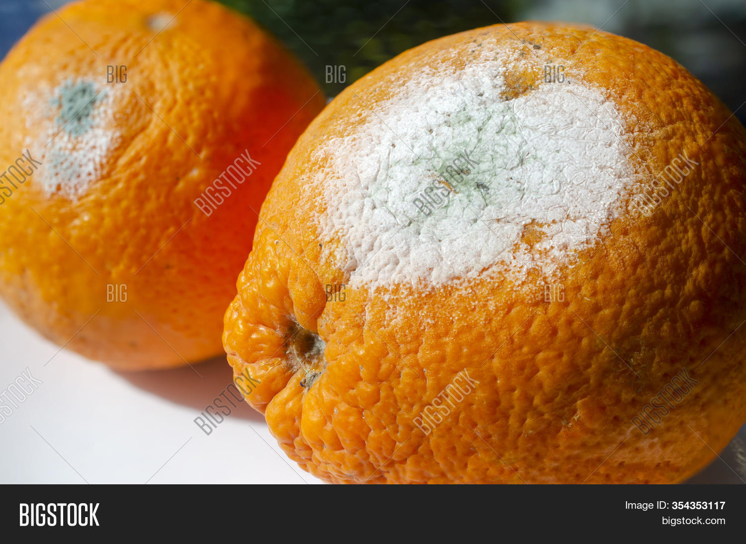 Rotten Citrus. Image & Photo (Free Trial) | Bigstock