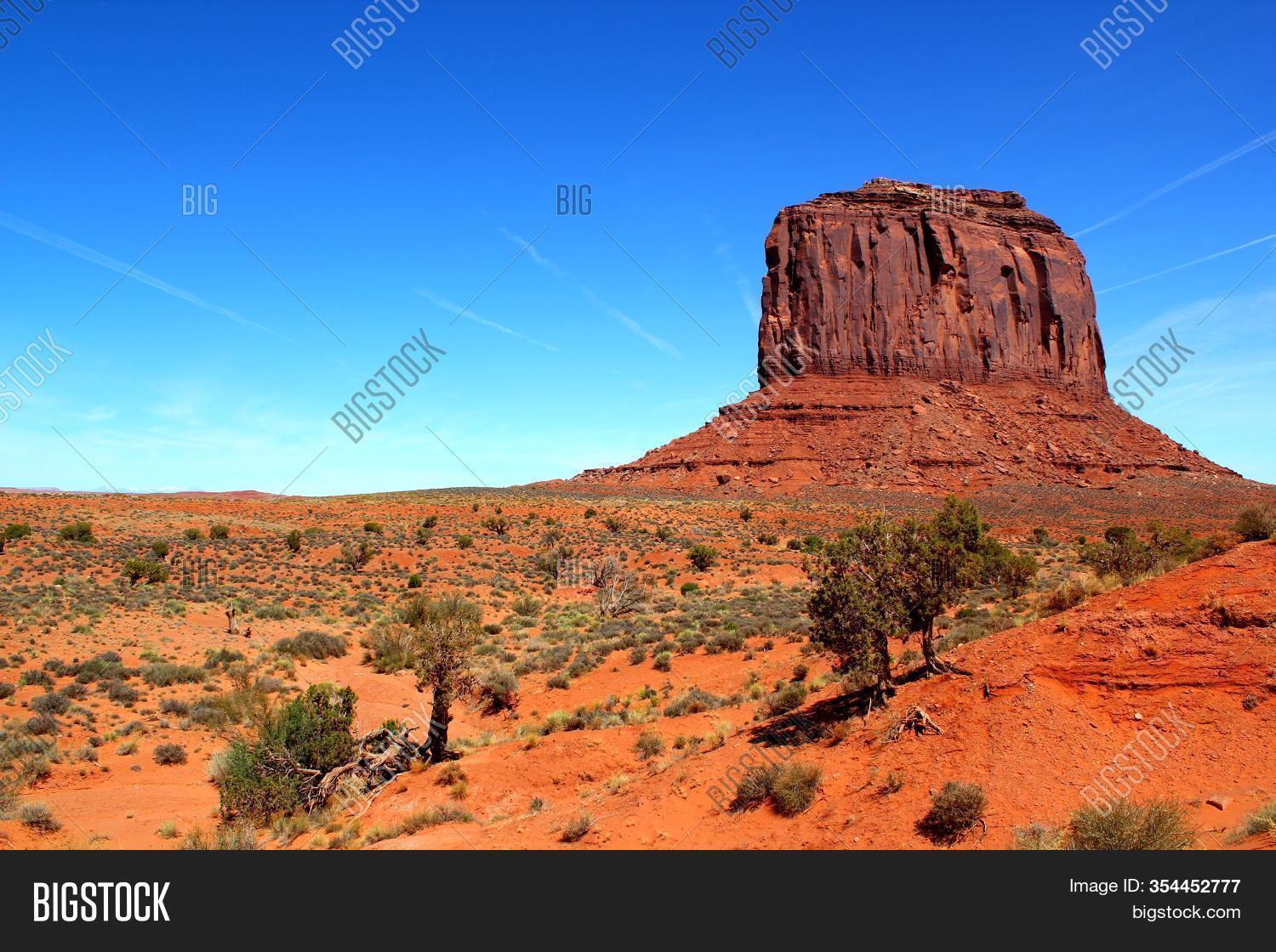 Distinctive Merrick Image & Photo (Free Trial) | Bigstock