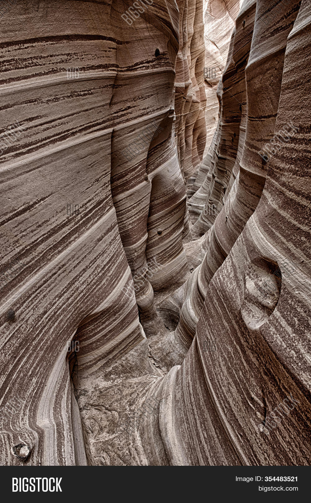 Zebra Canyon Vivid Image & Photo (Free Trial) | Bigstock