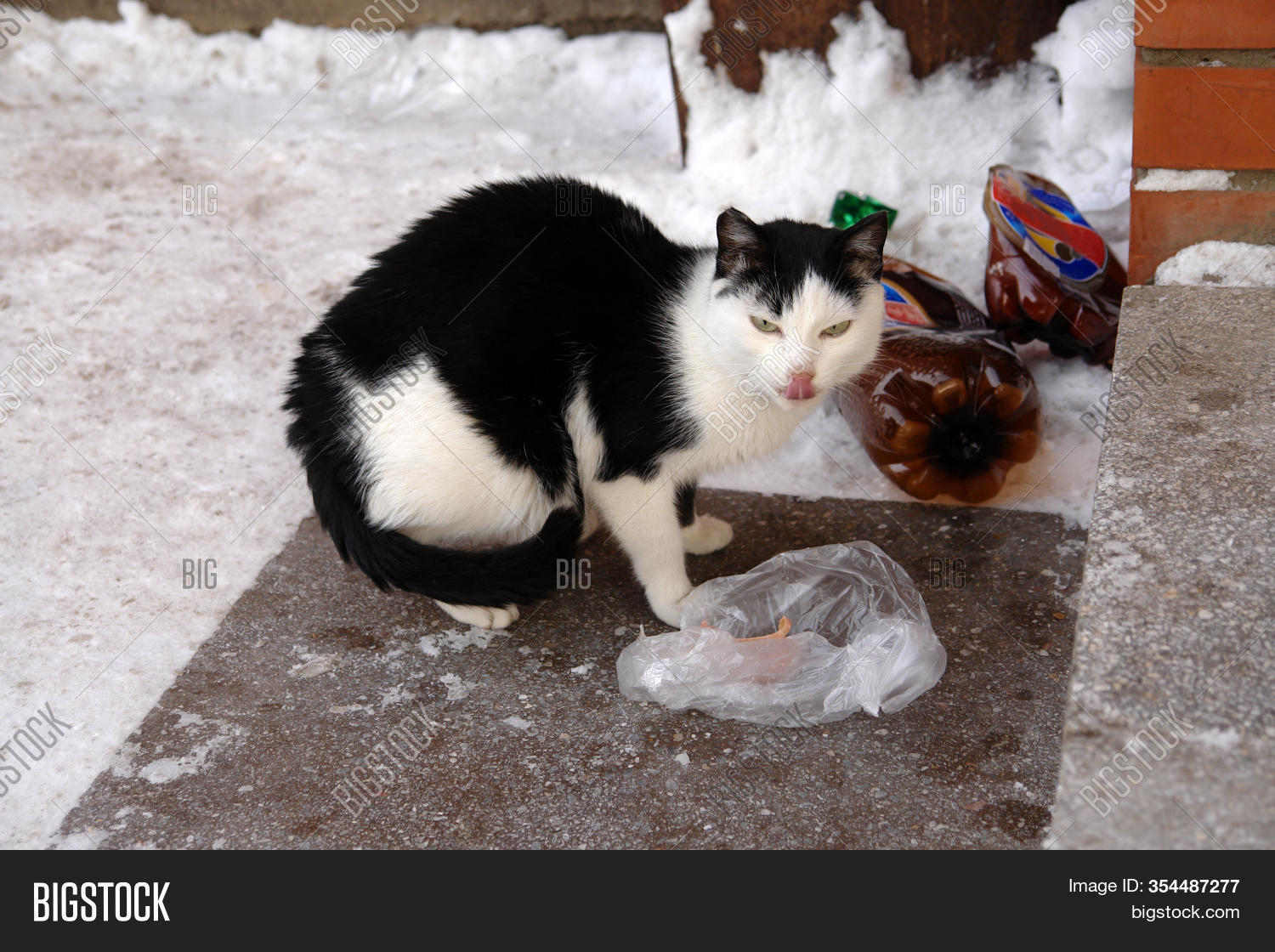Homeless Hungry Sad Image & Photo (Free Trial) | Bigstock