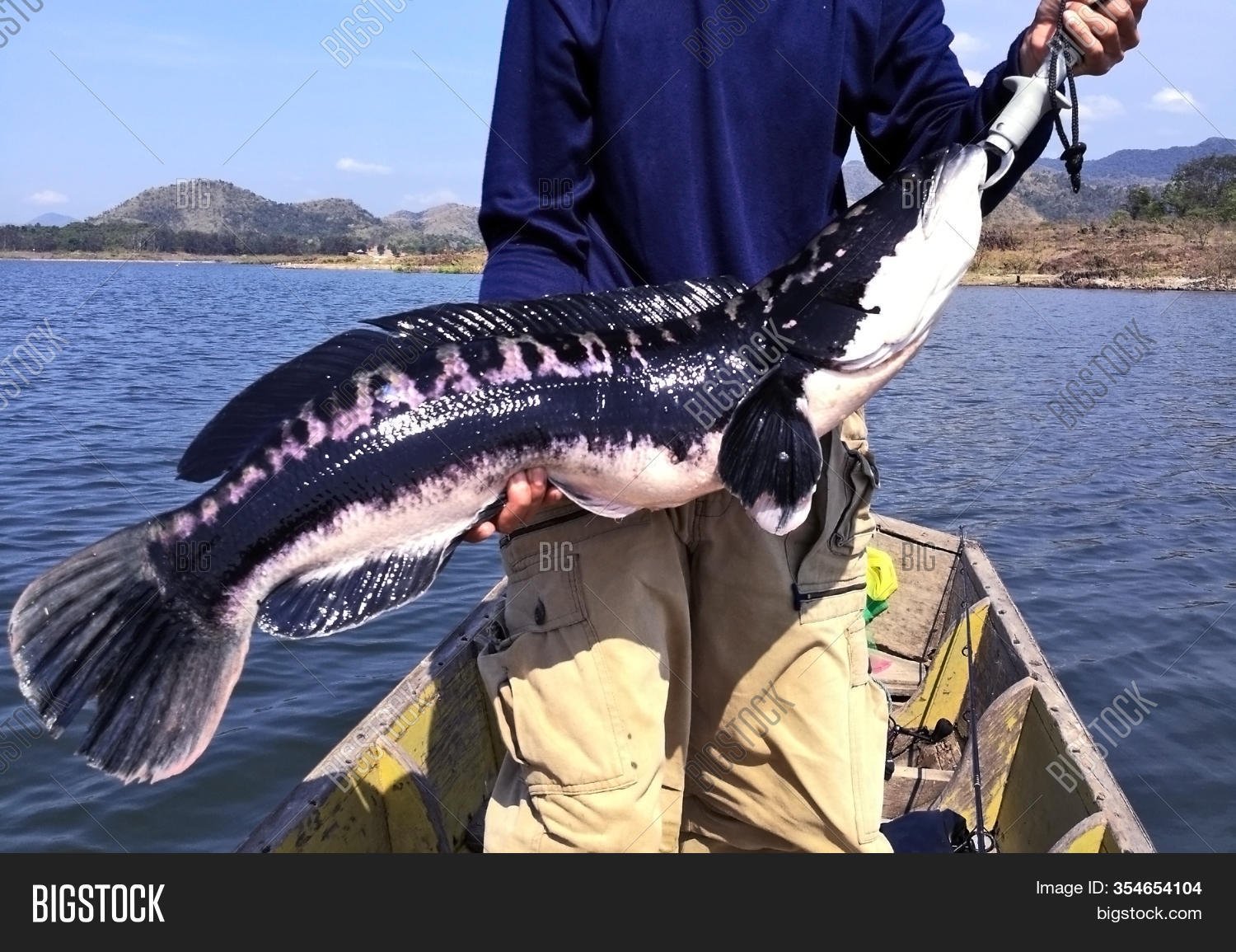 Big Giant Snake 图片和照片（免费试用） | Bigstock