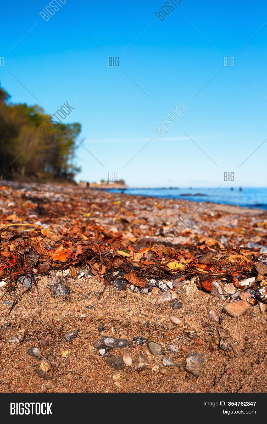 Beach Soil Formed Image & Photo (Free Trial) | Bigstock