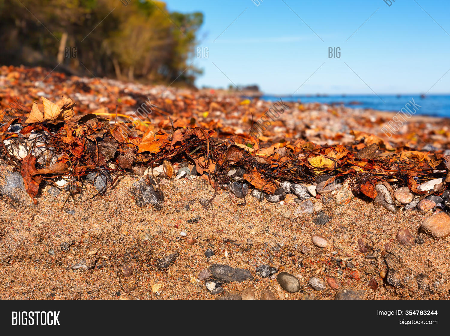 Beach Soil Formed Image & Photo (Free Trial) | Bigstock
