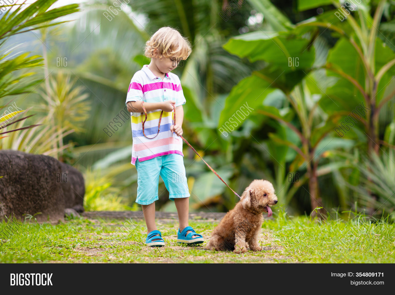 Should I Let My Puppy Play In The Garden