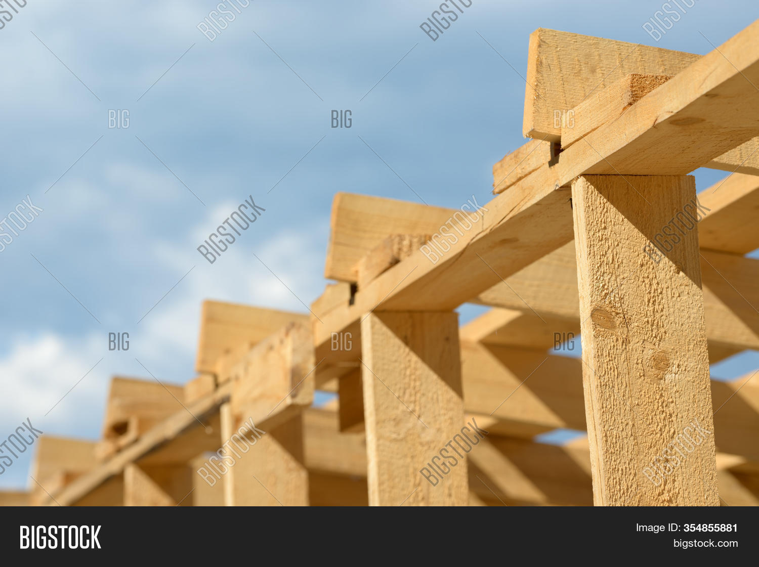 Natural Frame Structures