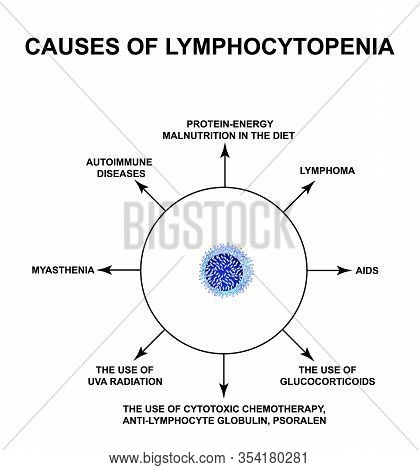 Causes Lymphocytopenia Image & Photo (Free Trial) | Bigstock