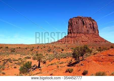 Distinctive Merrick Image & Photo (Free Trial) | Bigstock