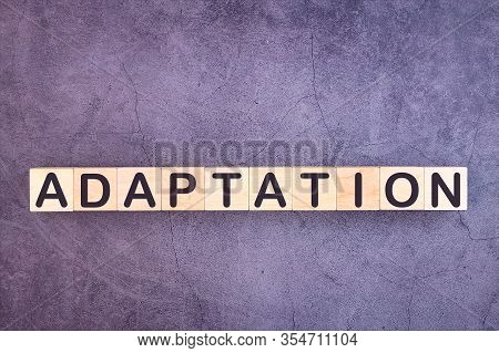 Adaptation Word Made Image & Photo (Free Trial) | Bigstock
