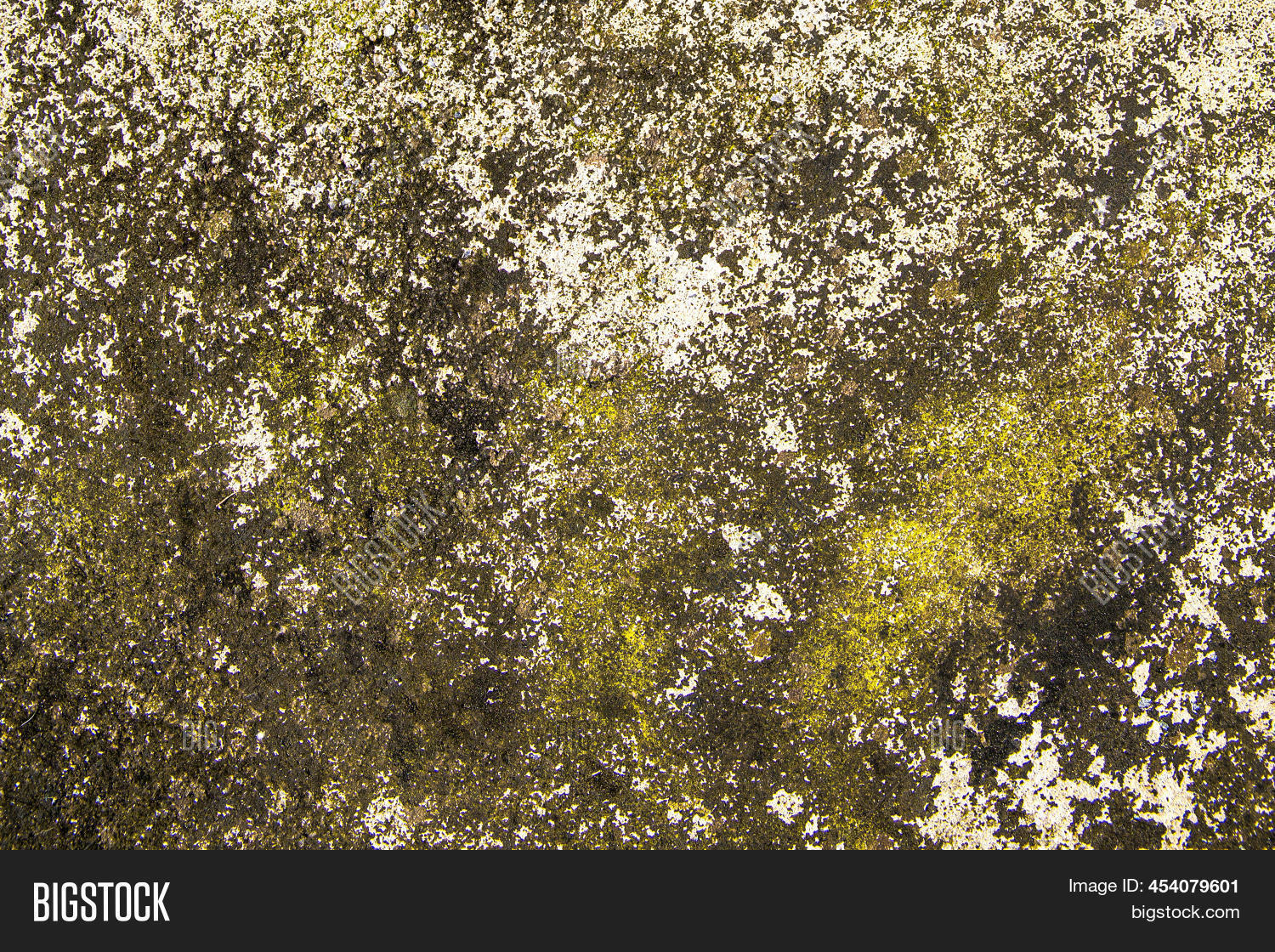 Old Cement Concrete Image & Photo (Free Trial) | Bigstock