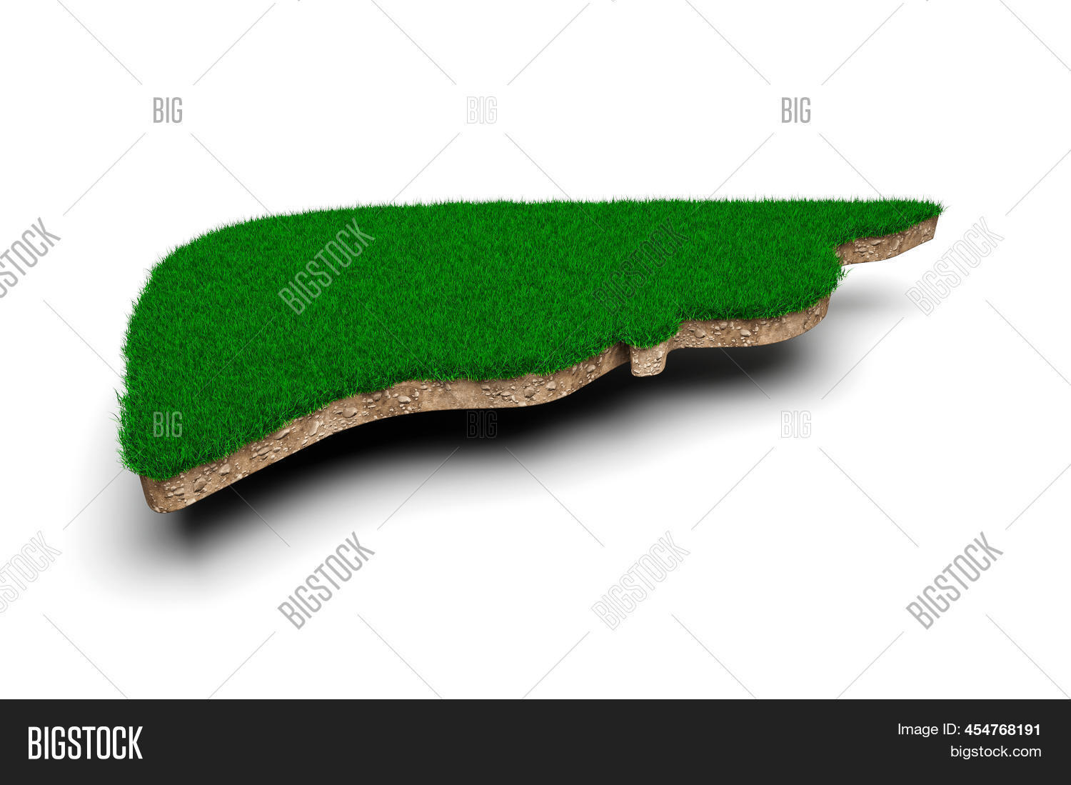 Liver Shape Made Green Image & Photo (Free Trial) | Bigstock