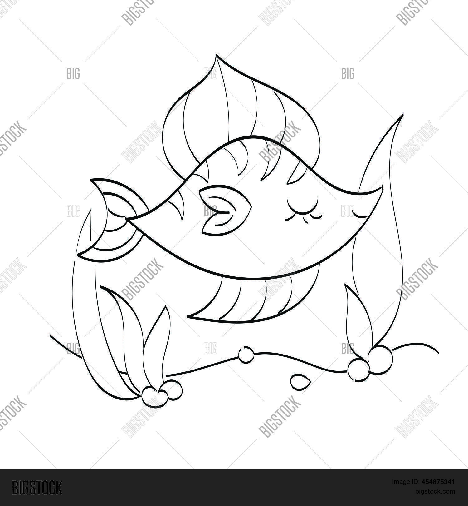 Fish Coloring Page Vector & Photo (Free Trial) | Bigstock