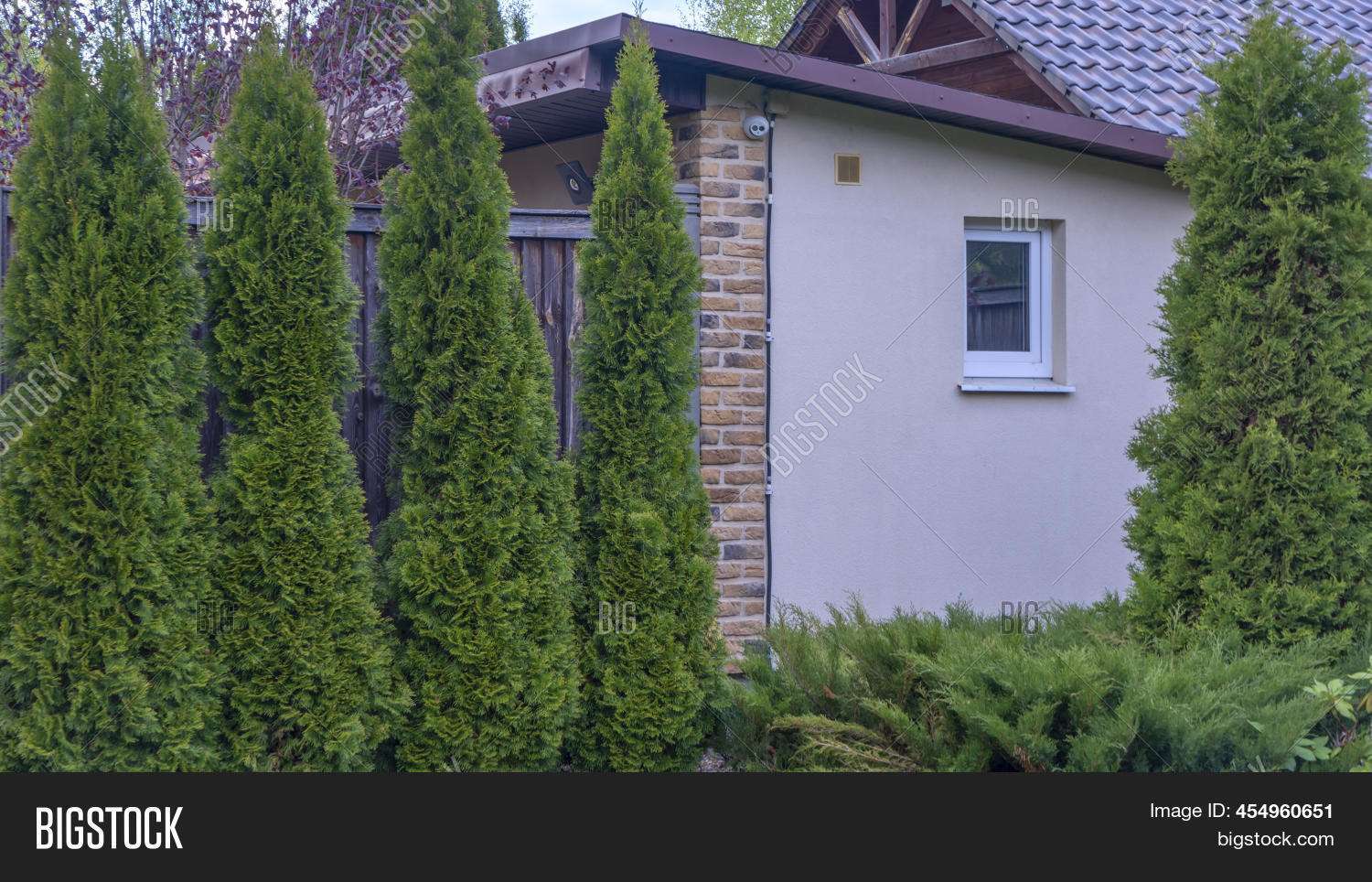 Well Groomed Green Image & Photo (Free Trial) | Bigstock