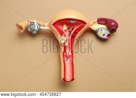 Model Female Image & Photo (Free Trial) | Bigstock