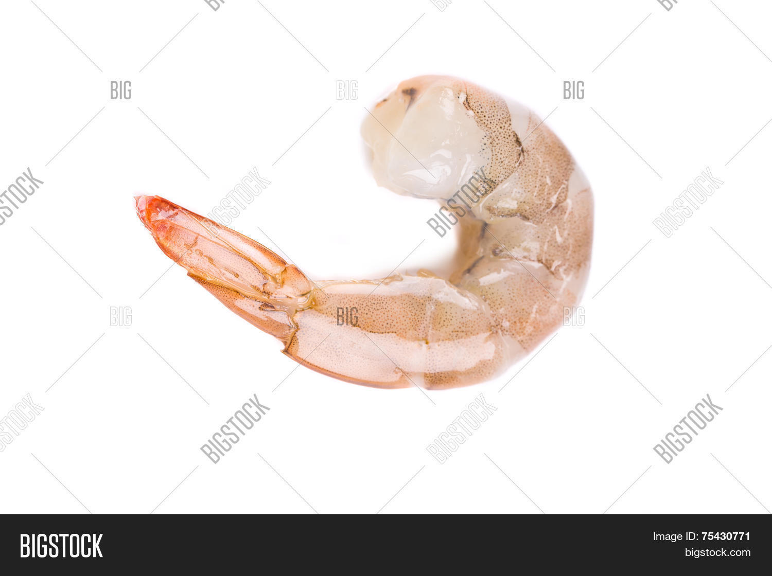 Raw Decapitated Shrimp Image & Photo (Free Trial) | Bigstock