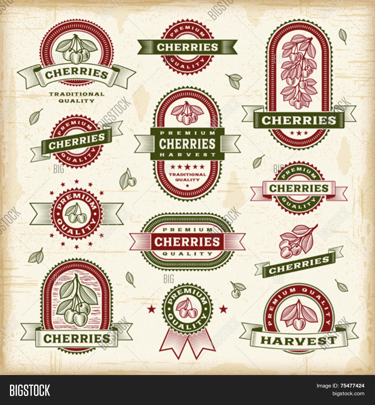 Vintage Cherry Labels Vector & Photo (Free Trial) | Bigstock