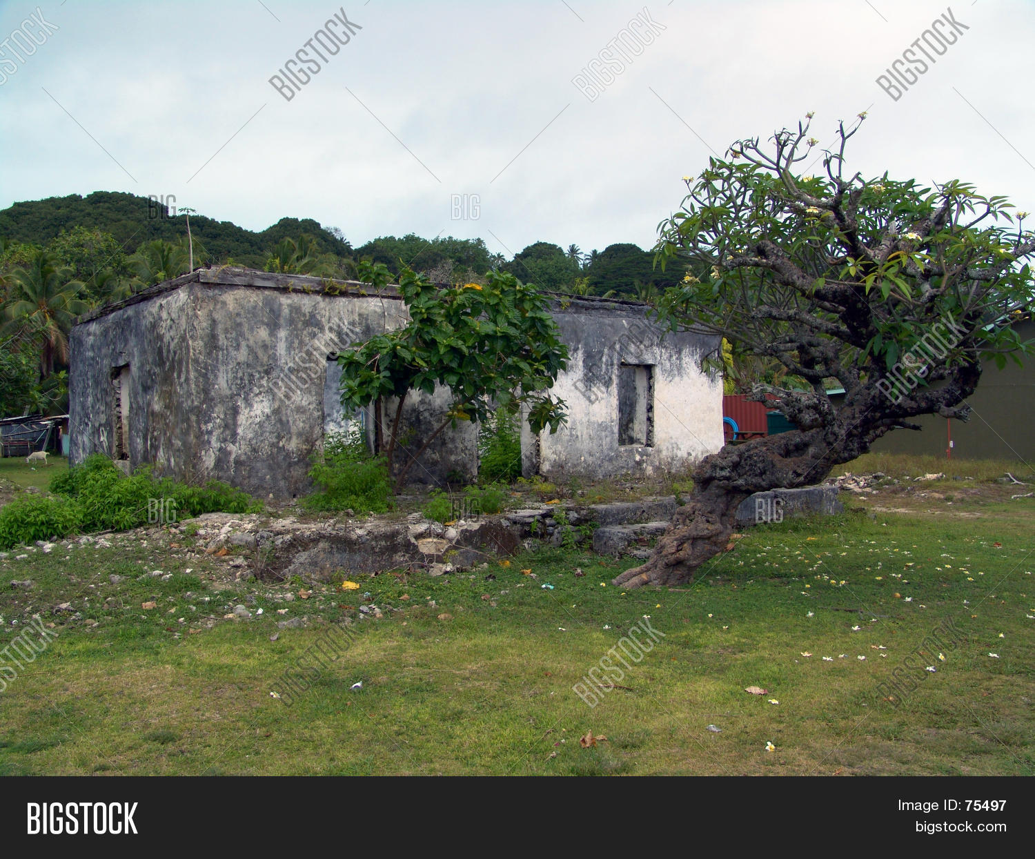 Old Rundown House Image & Photo (Free Trial) | Bigstock