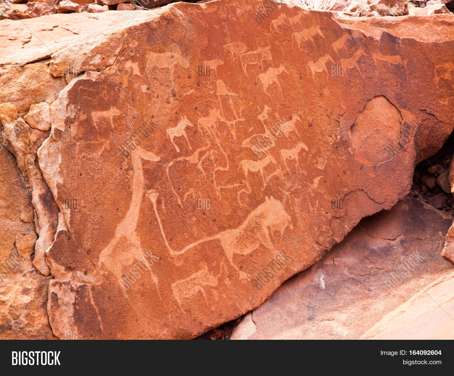 Bushman Engravings Image & Photo (Free Trial) | Bigstock