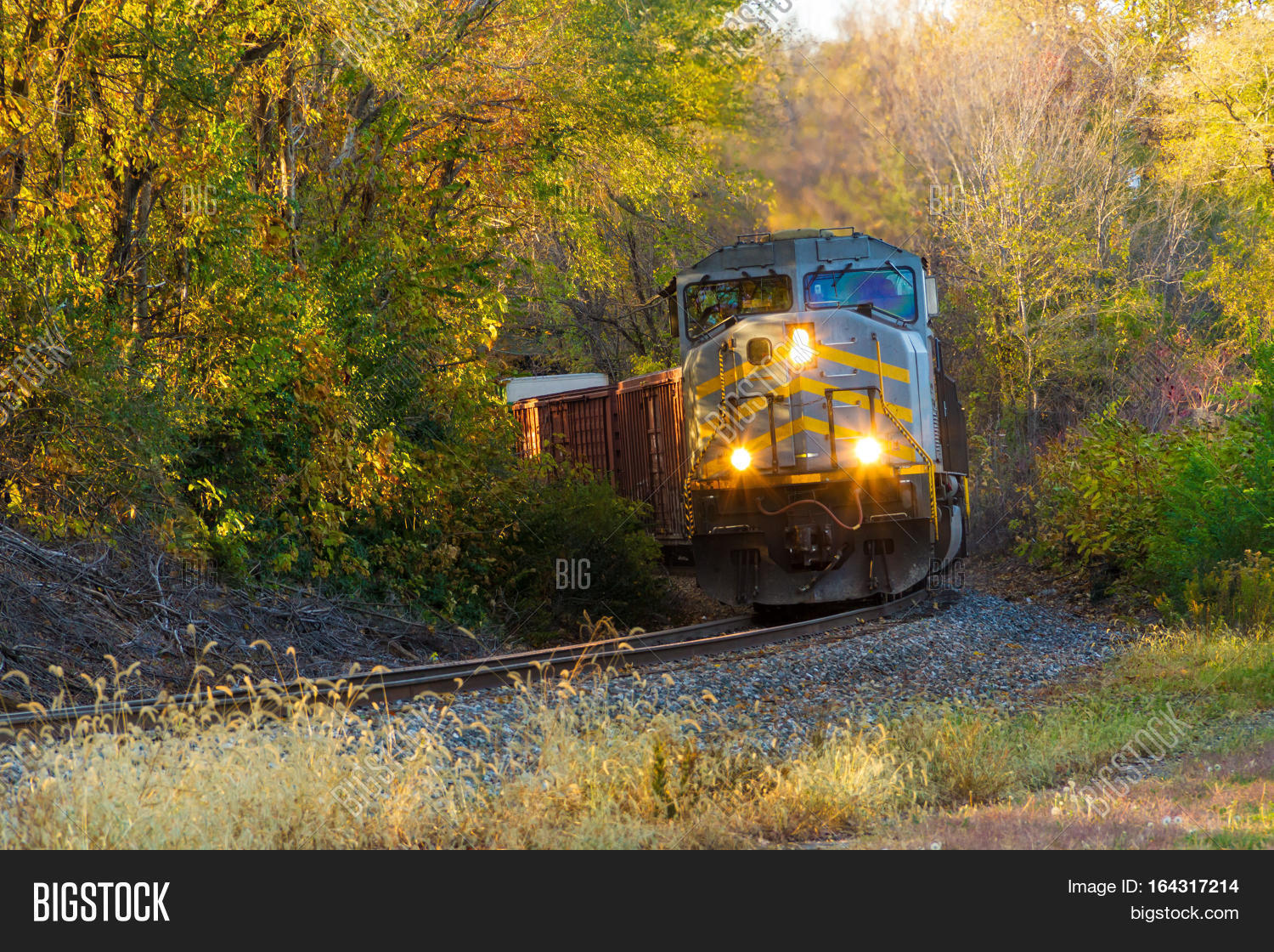Railroad Freight Train Image & Photo (Free Trial) | Bigstock