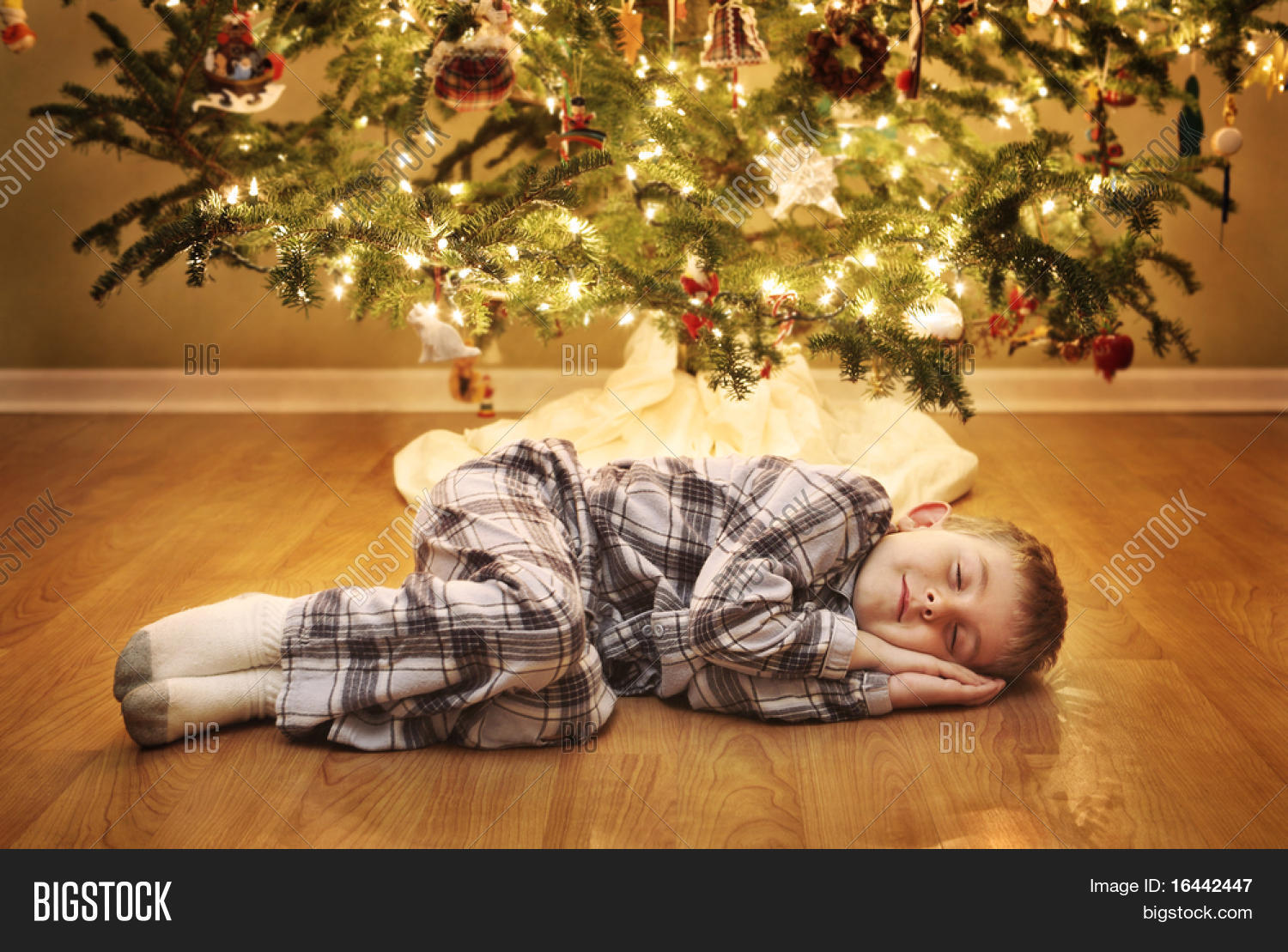 Young Boy Sleeping Image & Photo (Free Trial) | Bigstock