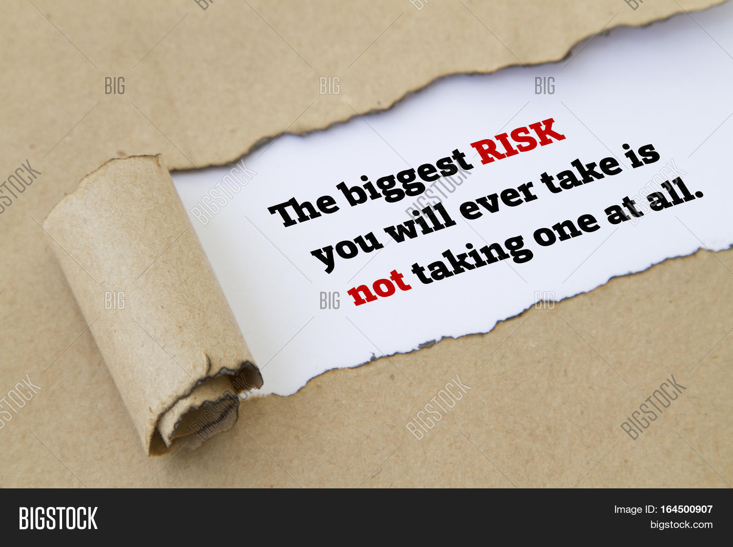 Biggest Risk You Will Image & Photo (Free Trial) | Bigstock