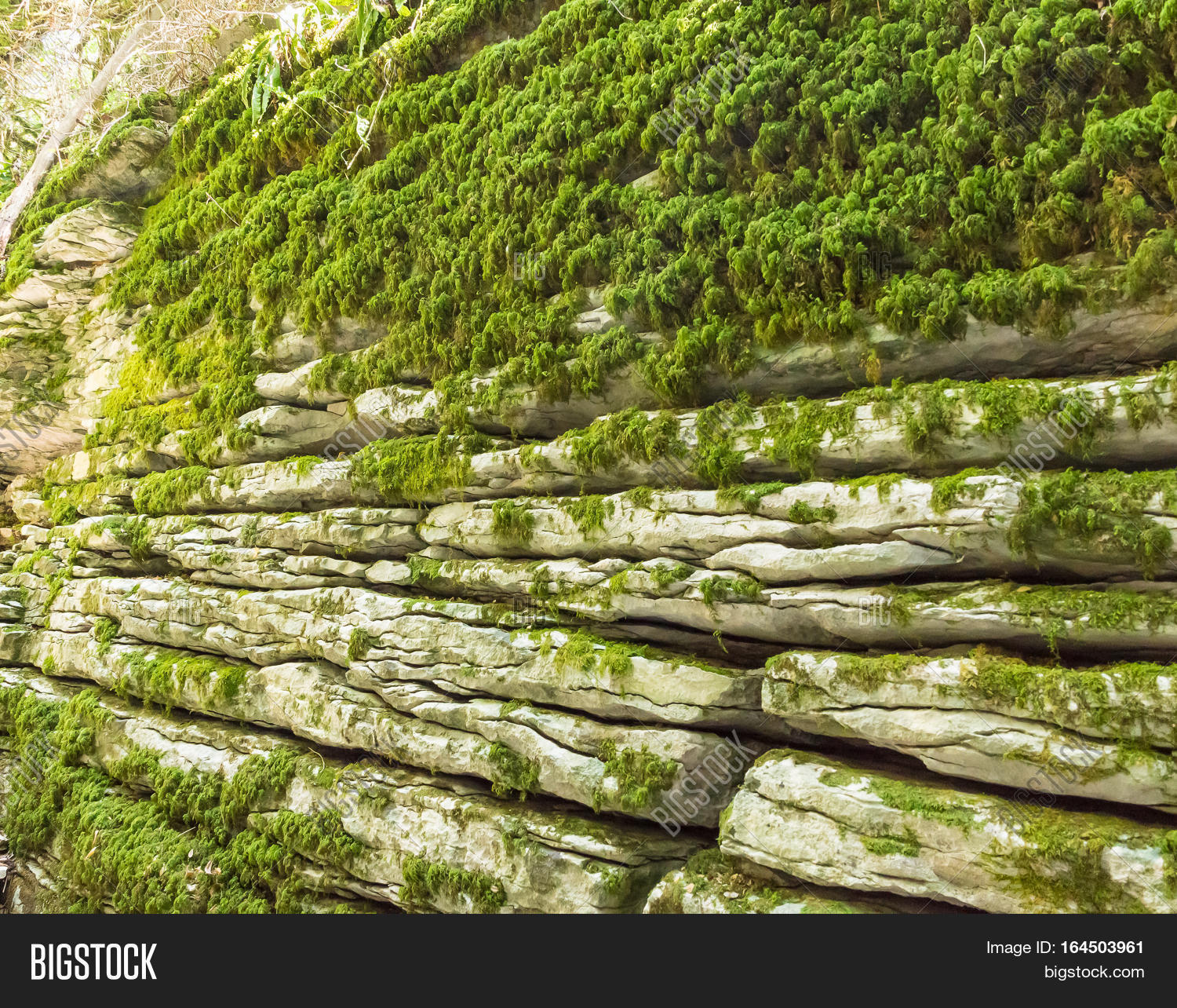Wall Stone Labyrinth Image & Photo (Free Trial) | Bigstock