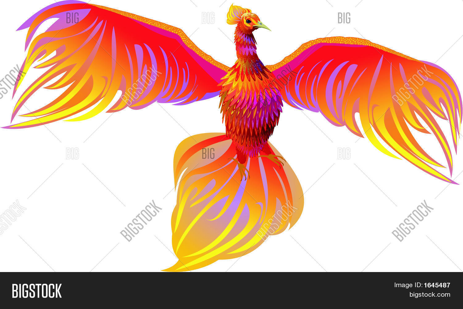 Phoenix.Eps Vector & Photo (Free Trial) | Bigstock