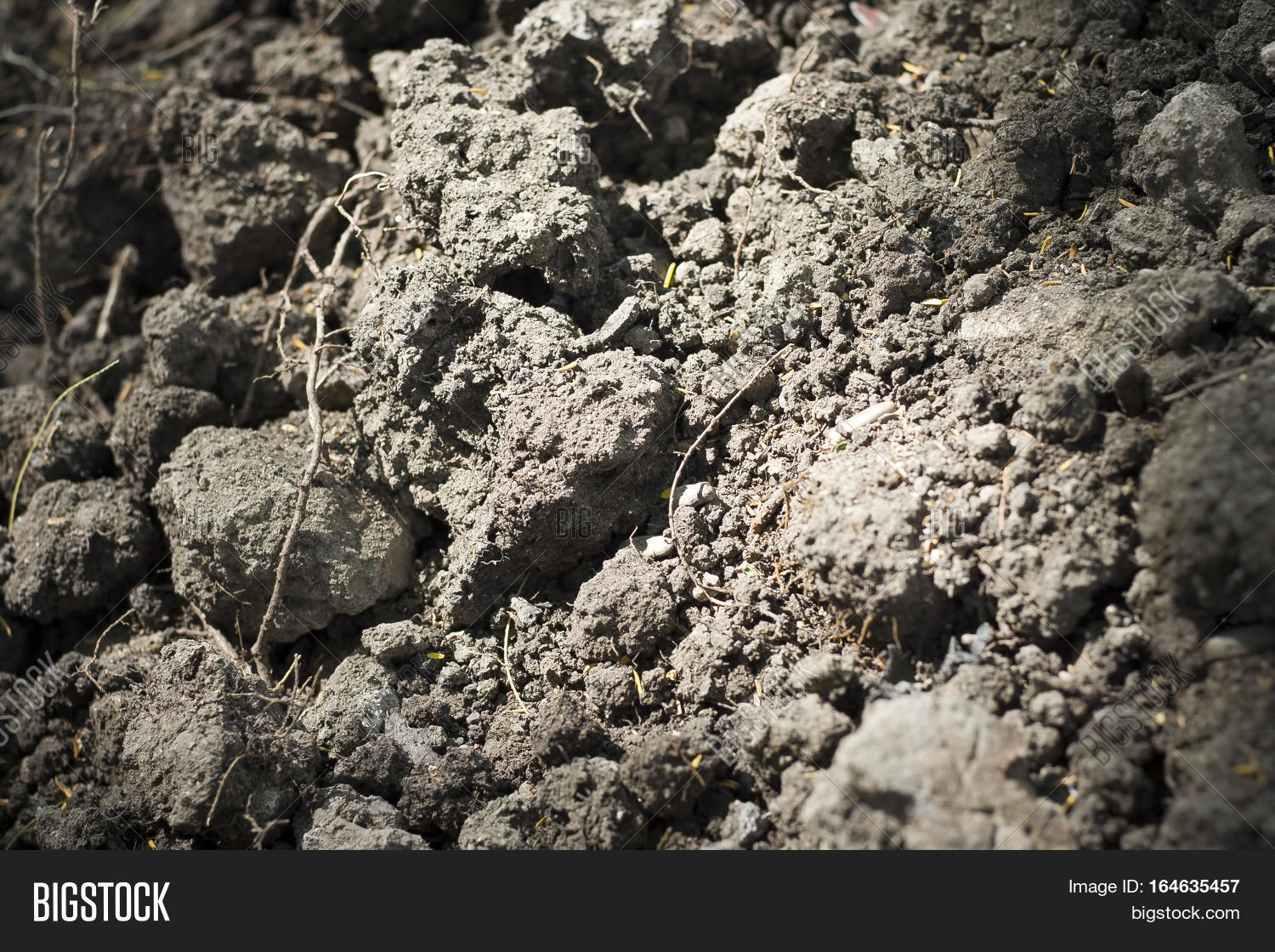 Close- Alluvial Soil Image & Photo (Free Trial) | Bigstock