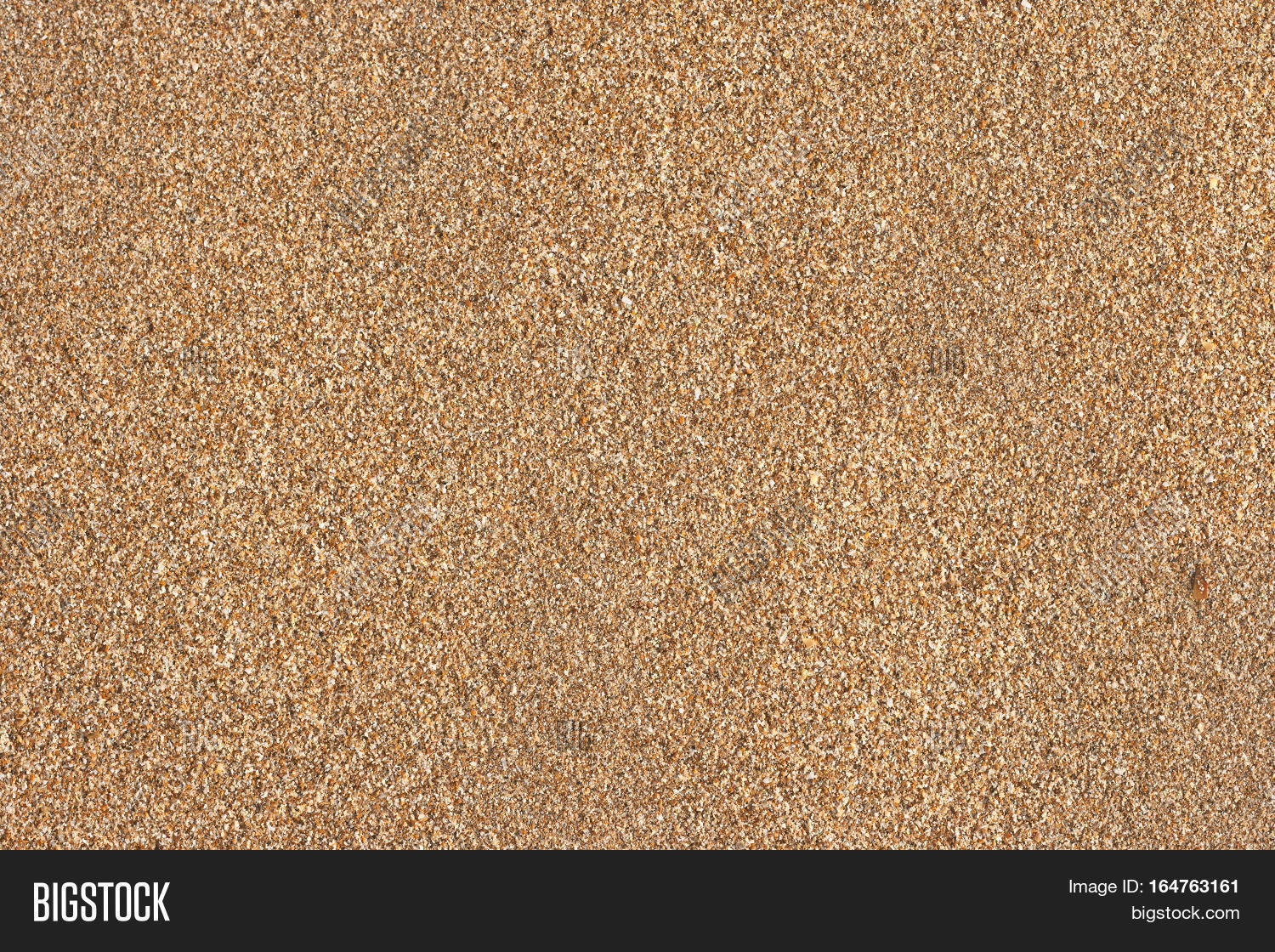 Closeup Gold Sand Image & Photo (Free Trial) | Bigstock