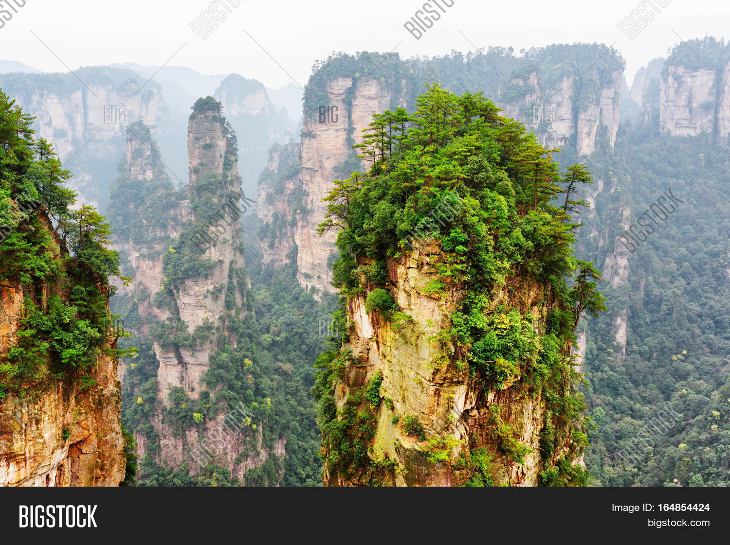 Avatar Hallelujah Image & Photo (Free Trial) | Bigstock