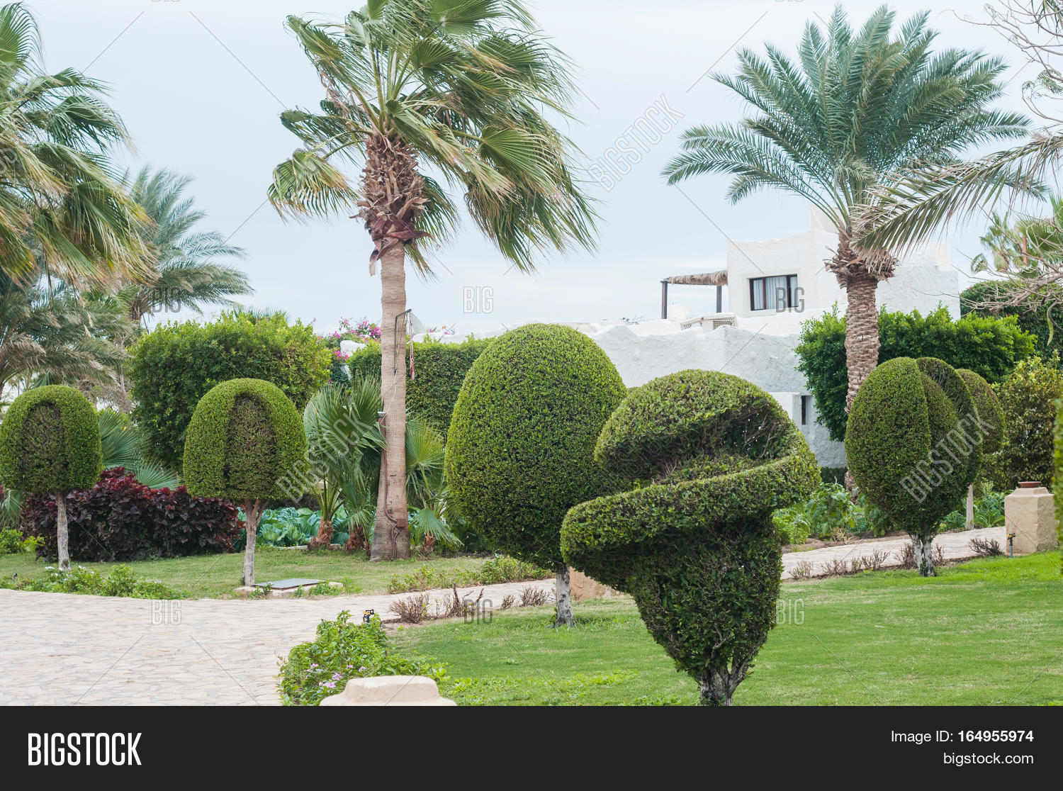 Park Shrubs Green Image & Photo (Free Trial) | Bigstock