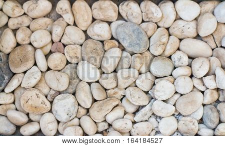 Pebble Stone Floor Image & Photo (Free Trial) | Bigstock