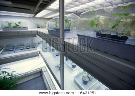 Science Concept - Image & Photo (Free Trial) | Bigstock
