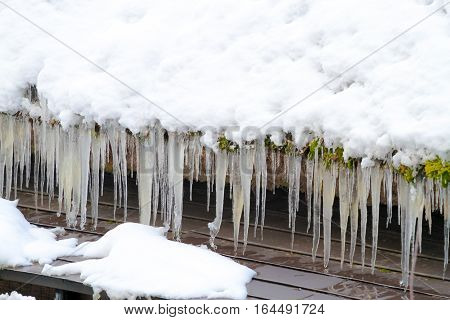 Snow Snowy Ice Icicles Image & Photo (Free Trial) | Bigstock